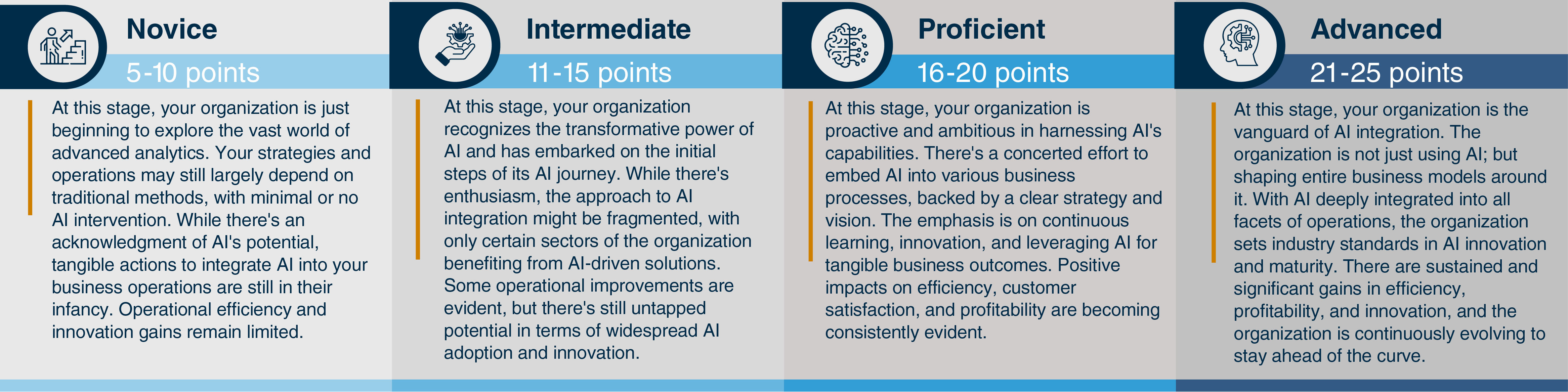 AI Maturity Assessment | Alvarez & Marsal | Management Consulting | Professional Services